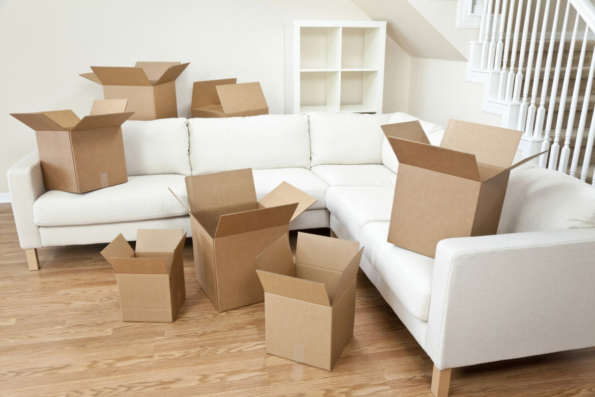 Maximizing Space: How to Pack Edmonton Moving Boxes Like a Pro | The ...